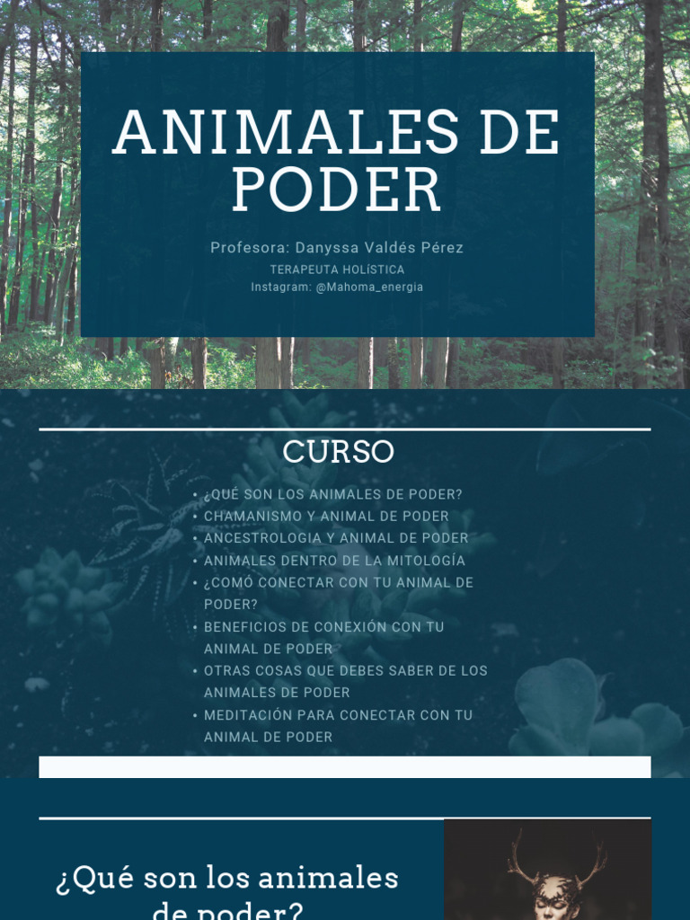 Conexión con Animales de Poder | PDF | Mitología | Creencia religiosa y ...