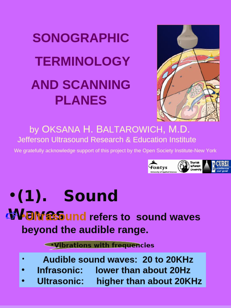 1 US Terminology - Scanning Planes Gemengd | PDF | Anatomical Terms Of ...