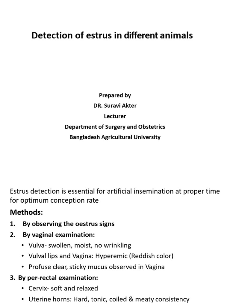 Detection of Estrus in Different Animals | PDF | Vagina | Epithelium