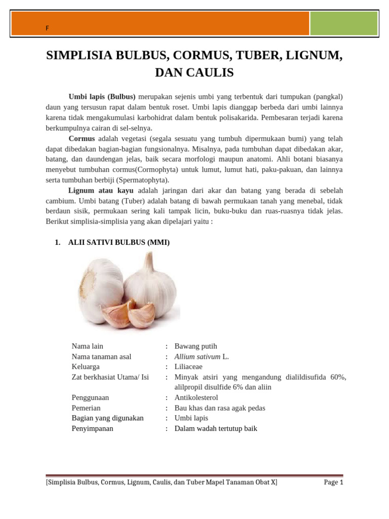 Simplisia Tumbuhan: Bulbus dan Cormus | PDF