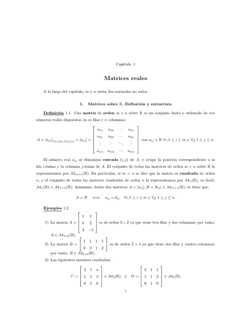 Documento para Matematicas | PDF | Matriz (Matemáticas) | Escalar (Matemáticas)