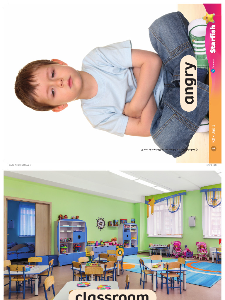 Starfish Flashcards K3 MX 32580 | PDF | Zoology