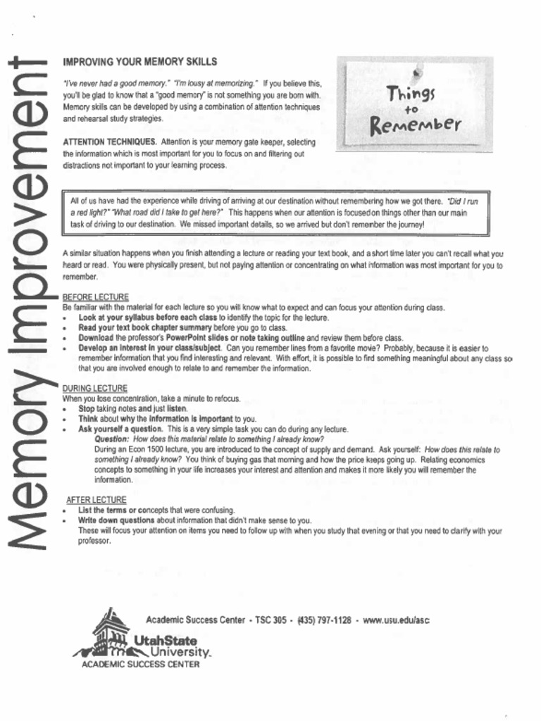 Memory Strategies | PDF