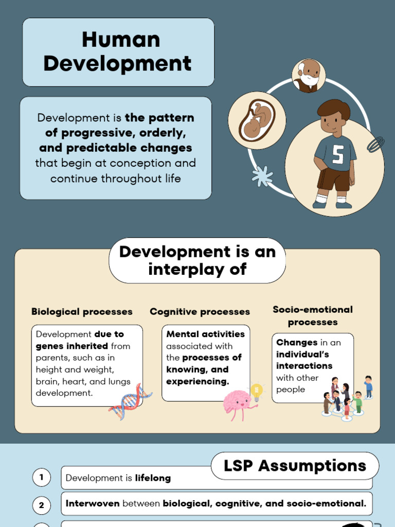Human Development: Key Concepts and Stages | PDF | Thought | Human Life ...