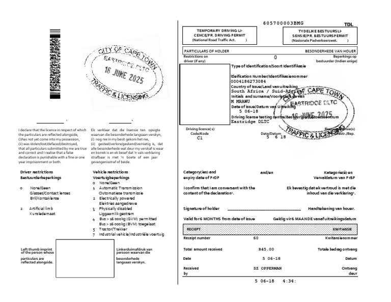 Temporary PDP License Details South Africa | PDF | Driver's License ...
