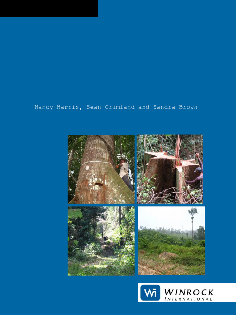 EPA HQ OAR 2005 0161 3163 - Content | PDF | Carbon Sequestration | Forests