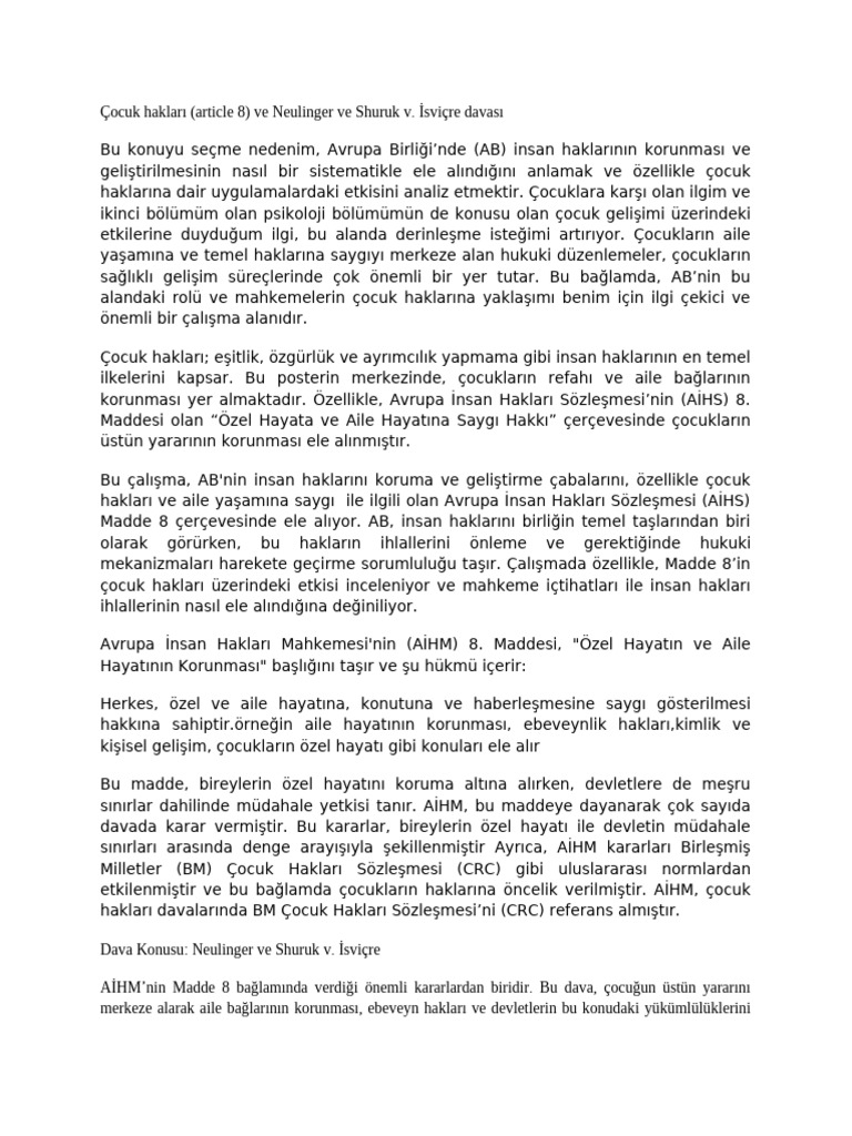 Rapor Human Right Final | PDF