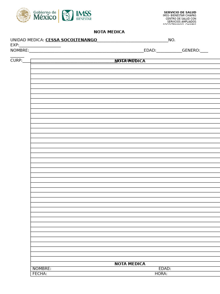 Formato de Nota Médica IMSS Chiapas | PDF