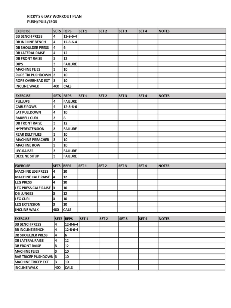Ricky's 6-Day Push/Pull/Legs Plan | PDF
