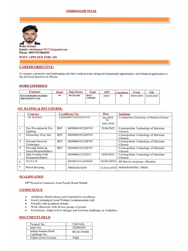 Rohit CV 1 | PDF