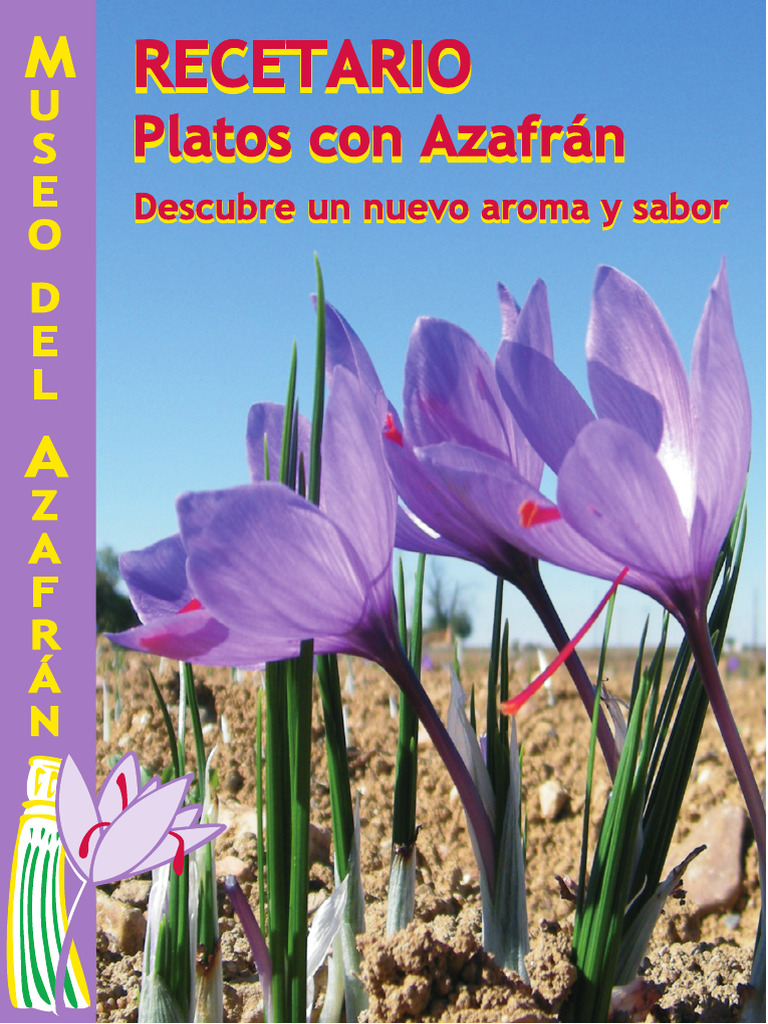 Recetario Azafran | PDF