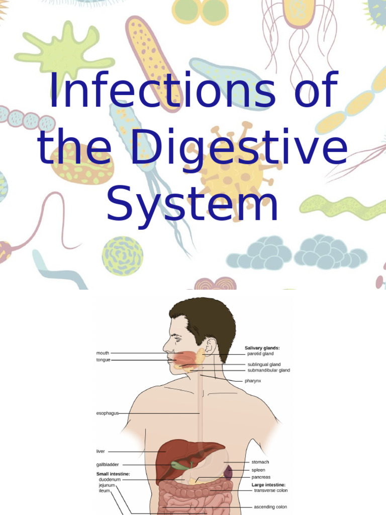 24 Diseases of The Digestive System - 24 | PDF | Foodborne Illness ...