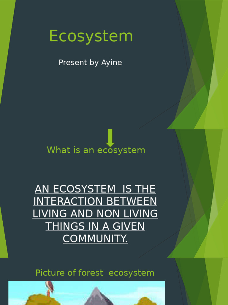 Ecosystem | PDF