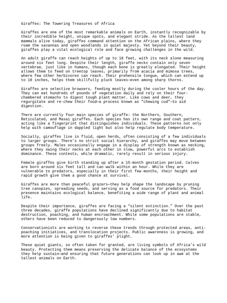 Article - Giraffes - The Towering Treasures of Africa | PDF | Giraffe | Zoology