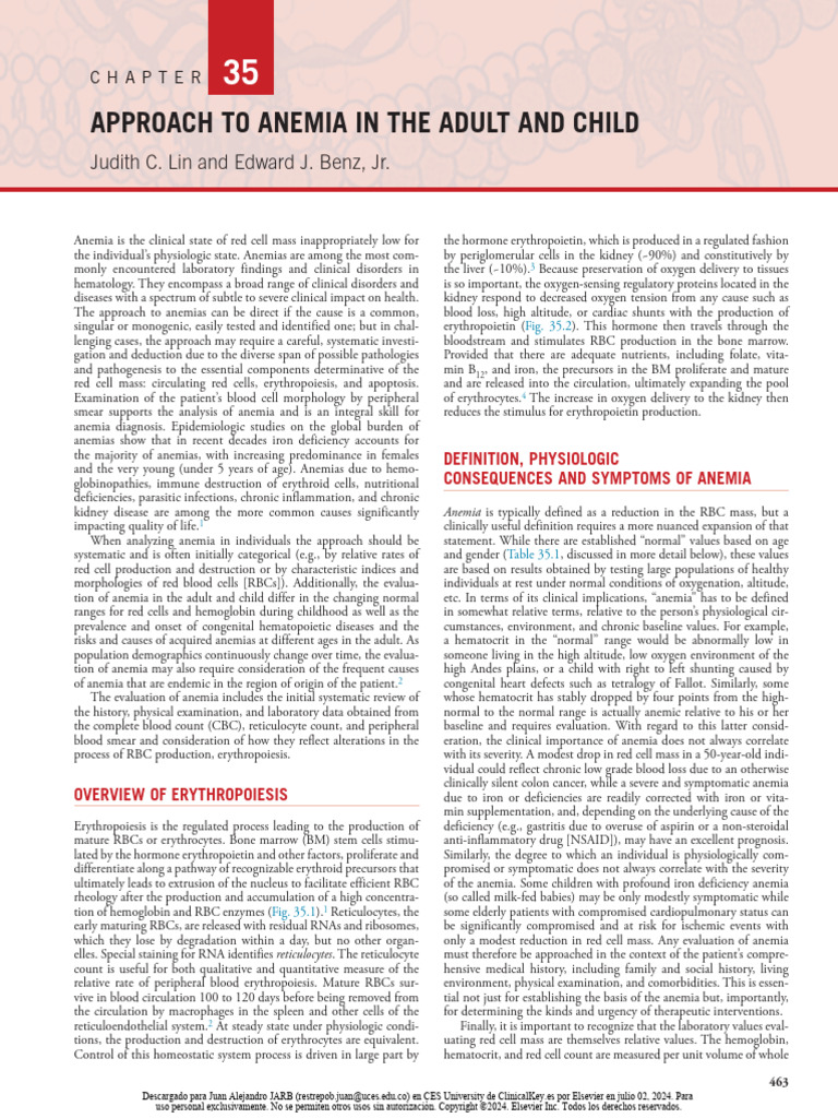 Aproximación Diagnóstica de La Anemia 2 | PDF | Anemia | Red Blood Cell