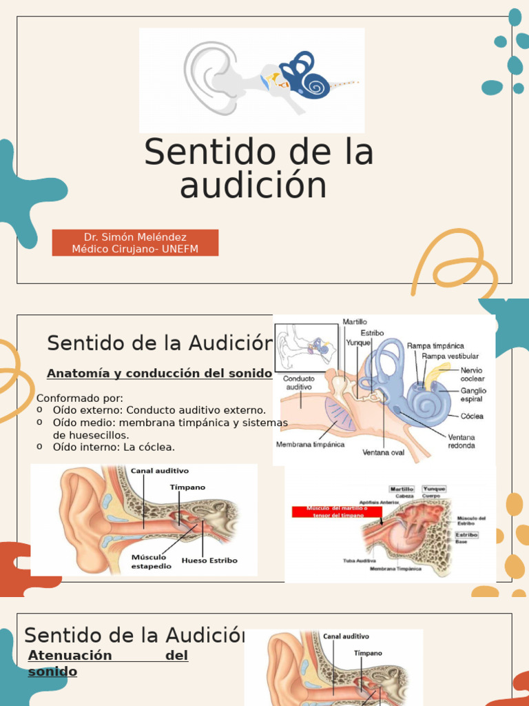 Sentido de La Audición | PDF | Escuchando | Sentidos