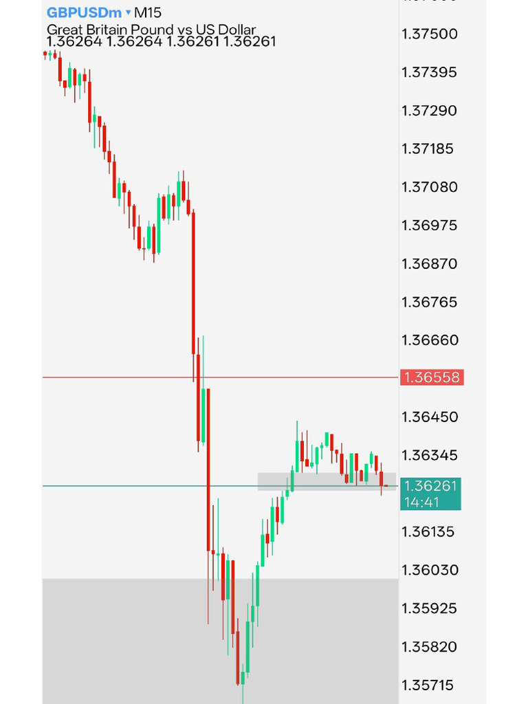 Convert Set-Up Only | PDF