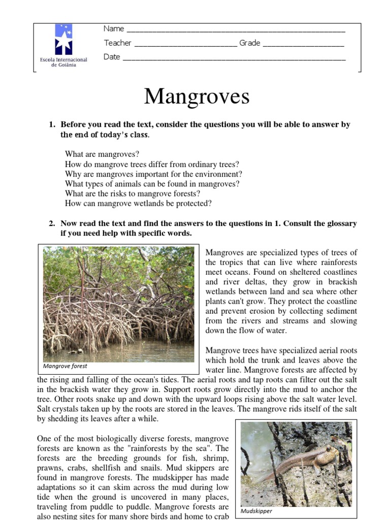 Mangroves - Level III | PDF | Mangrove | Wetland