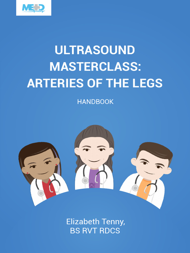 UltrasoundMasterclass - Arteries of The Legs Handbook | PDF ...
