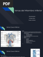 Doppler Venoso Mmii Safena Magna y Parva | PDF | Vena | Sistema ...