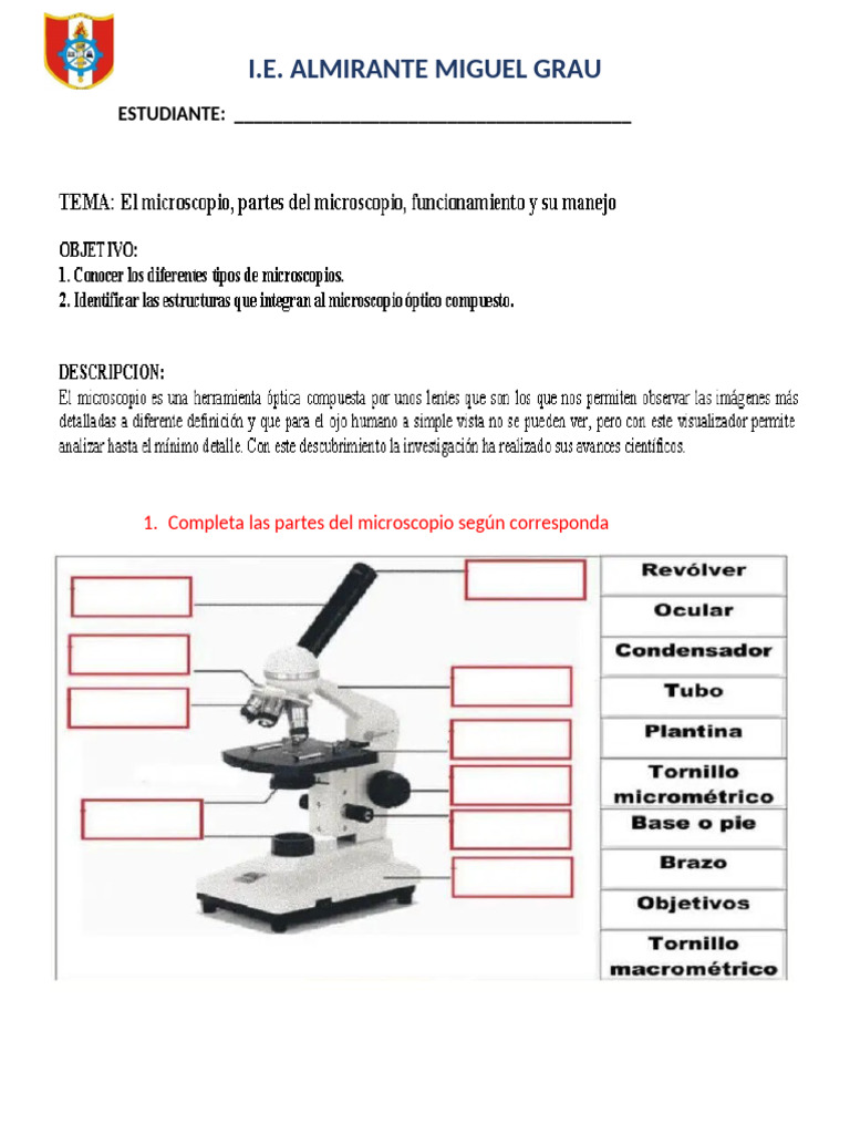 Partes del Microscopio para Estudiantes | PDF