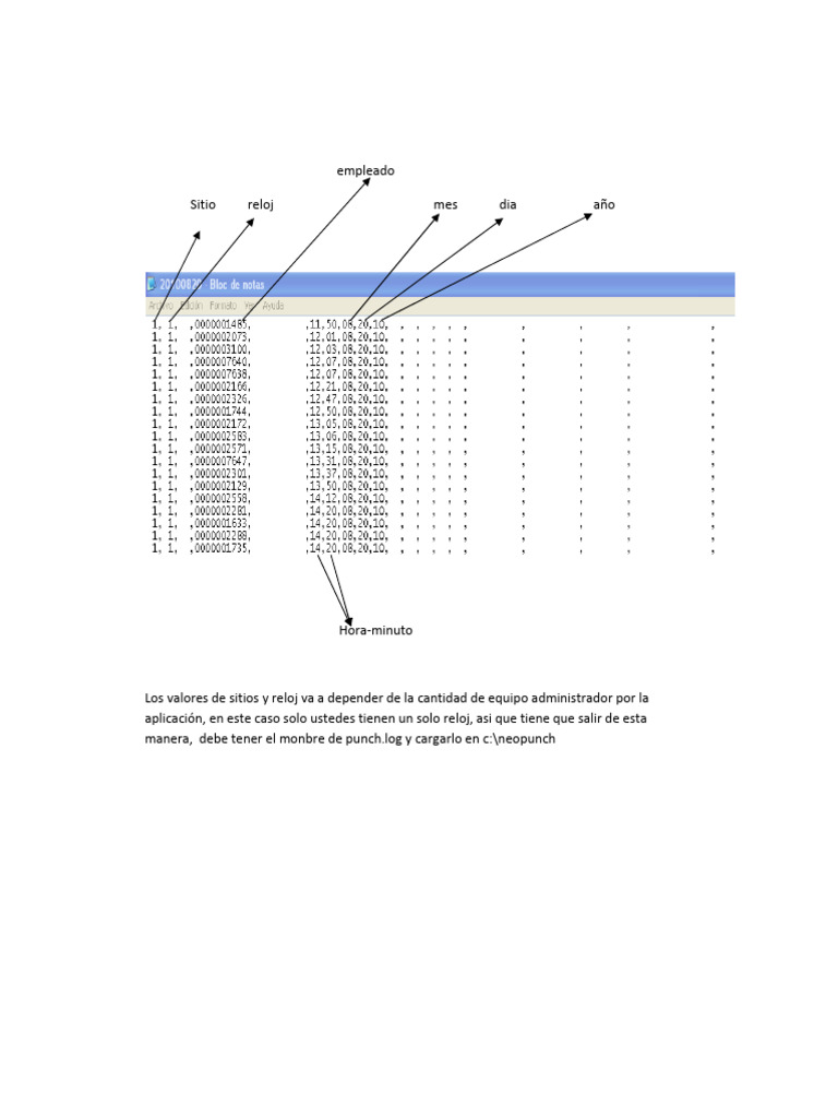 Formato Estructura Neo Punch | PDF