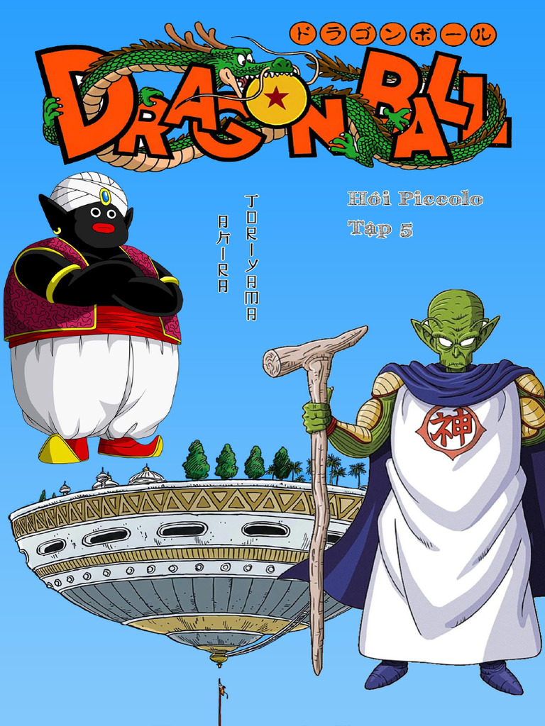 Piccolo 5 | PDF