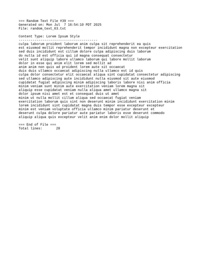 Random Text 63 | PDF
