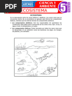LOS ECOSISTEMAS. Sopa de Letras | PDF