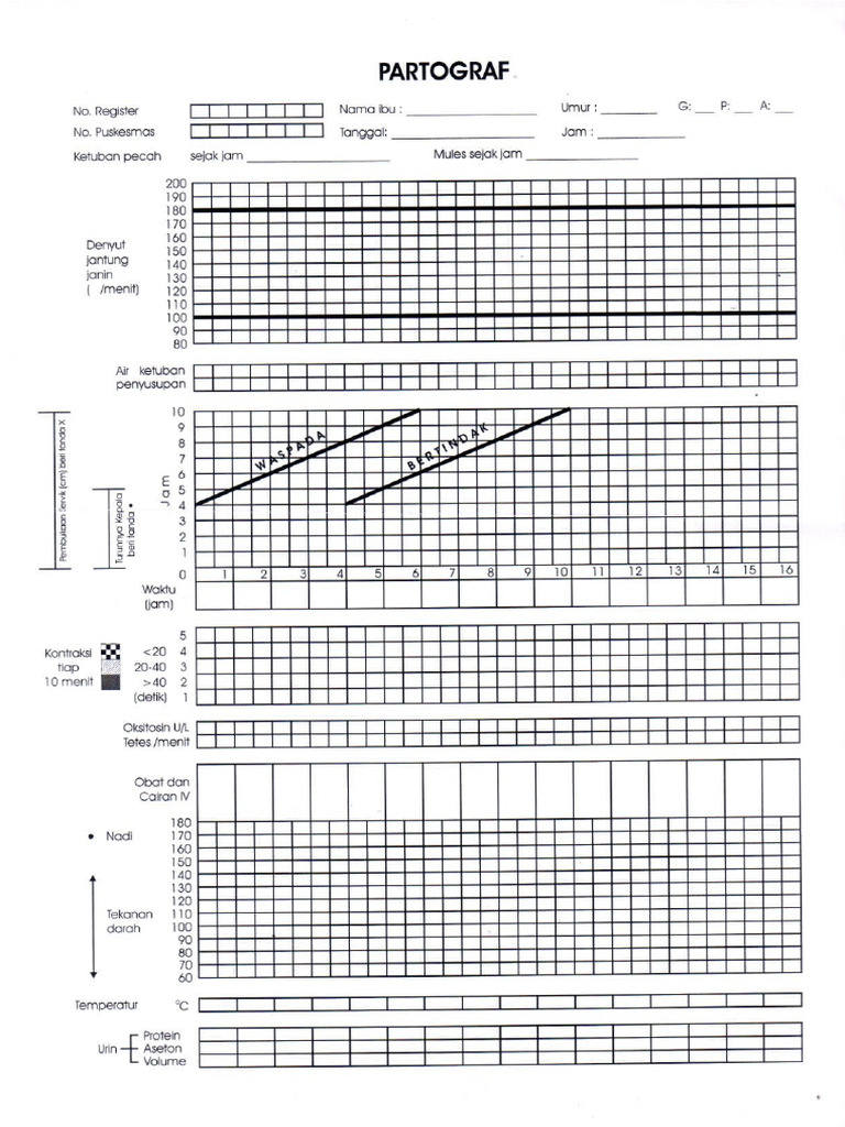 Partograf | PDF