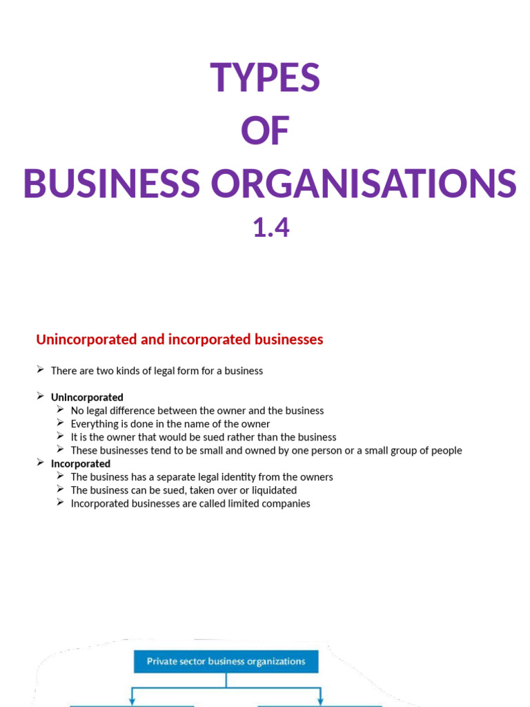 Types of Business Organisations | PDF | Franchising | Partnership