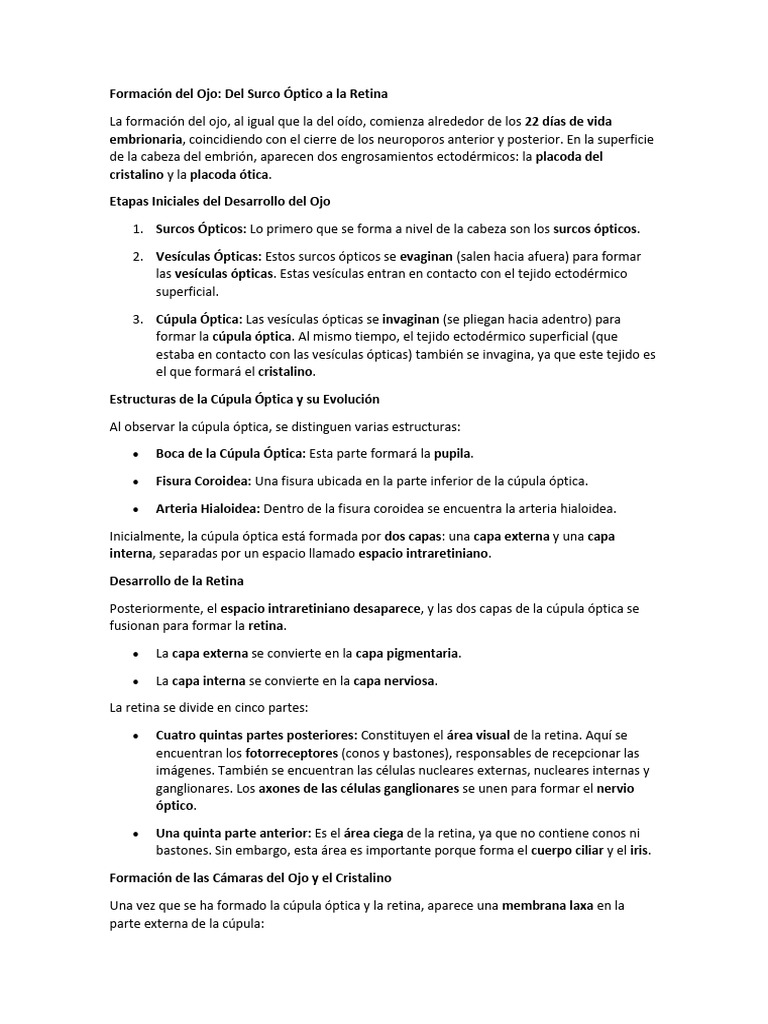 Formación Del Ojo (Embriologia) | PDF | Retina | Percepción visual