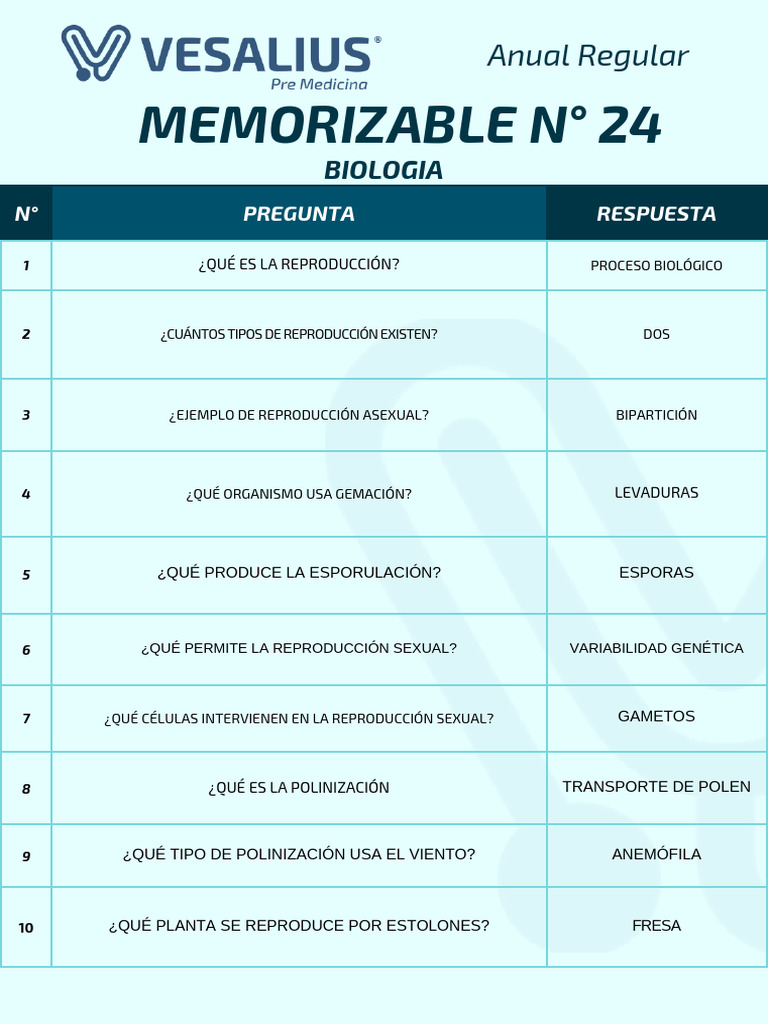 Memorizable 2 | PDF | Clima | Reproducción