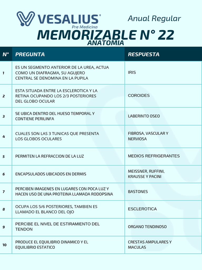 Memorizable 4 | PDF | Imperio Inca | Ojo