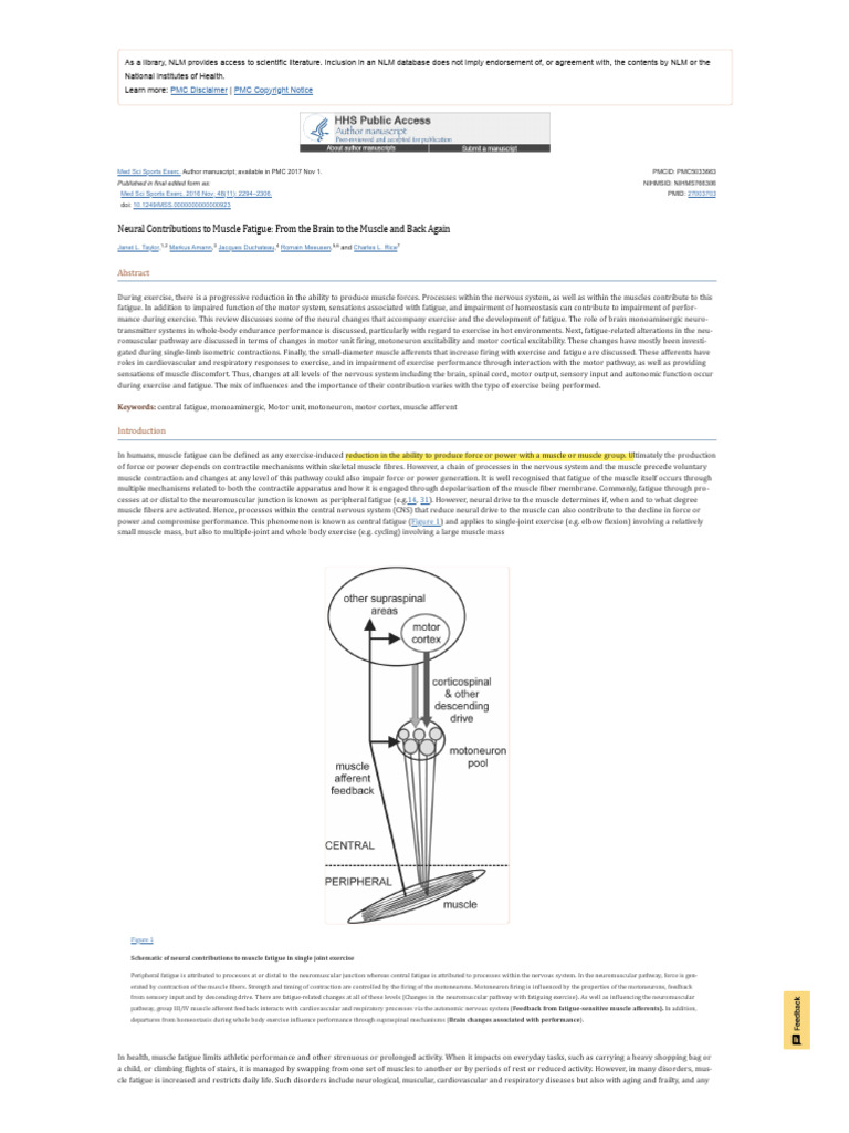 Neural Factors in Muscle Fatigue | PDF | Motor Neuron | Skeletal Muscle