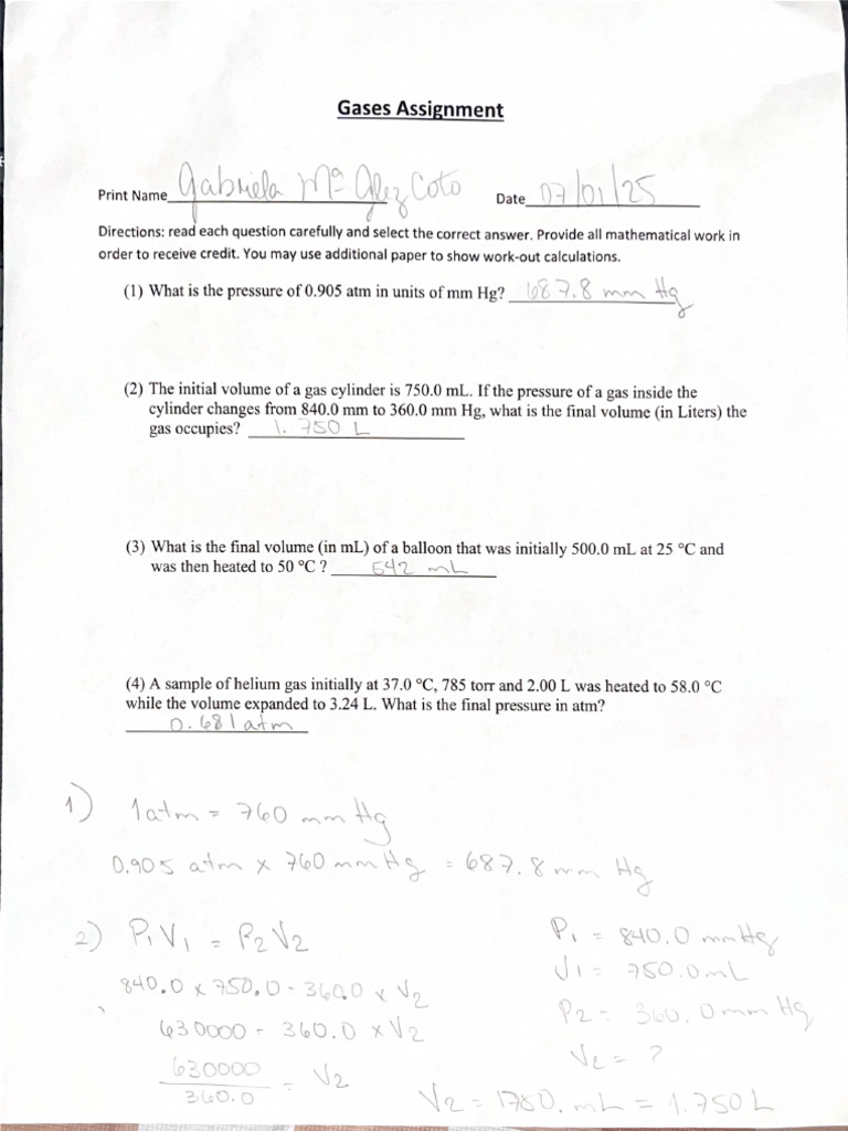 Gases Assignment | PDF