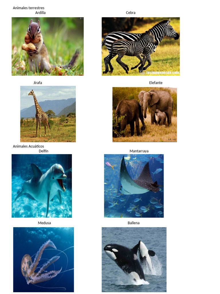 Animales Terrestres, Acuáticos y Aéreos | PDF