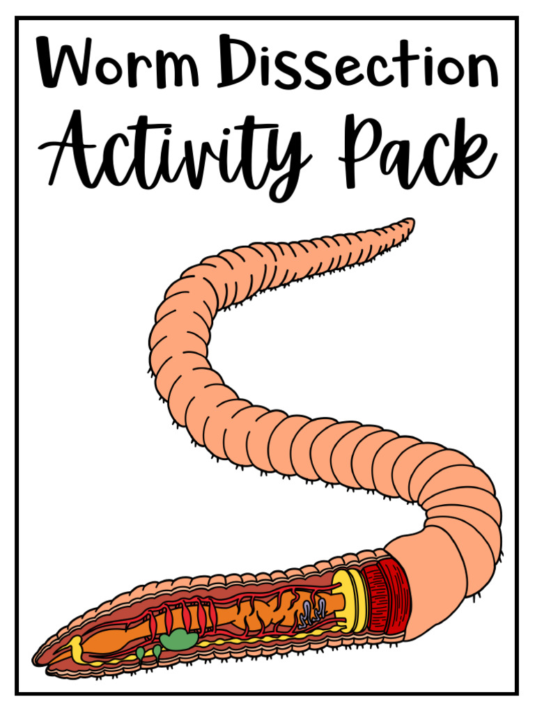 Dissection Earth Worm STEAMPoweredFamily | PDF | Biology | Zoology