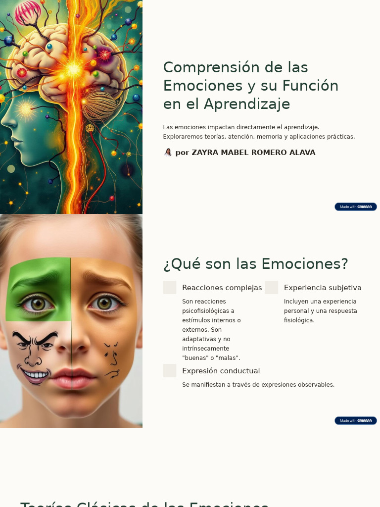 Comprension de Las Emociones y Su Funcion en El Aprendizaje | PDF | Las emociones | Aprendizaje