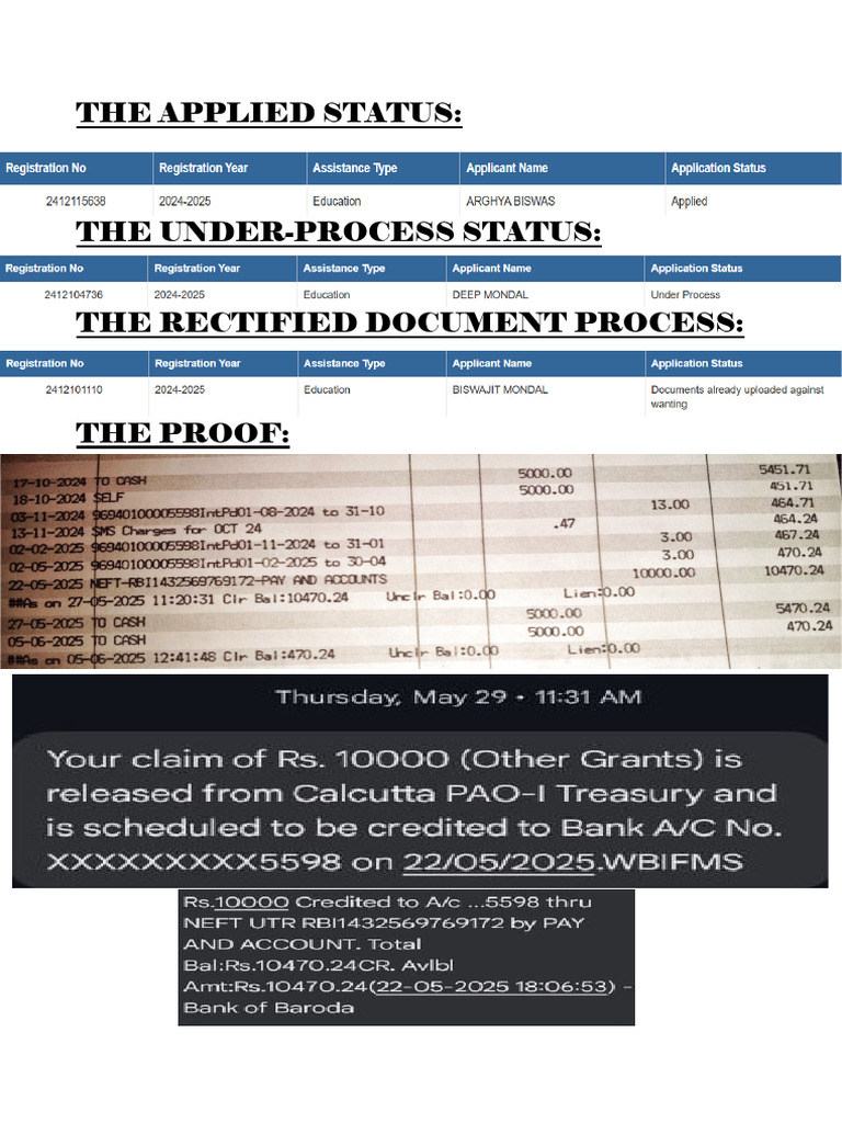 The Applicant Status and Proof | PDF