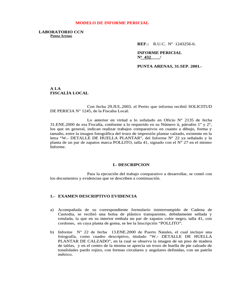 Modelo Informe Pericial | PDF | Zapato