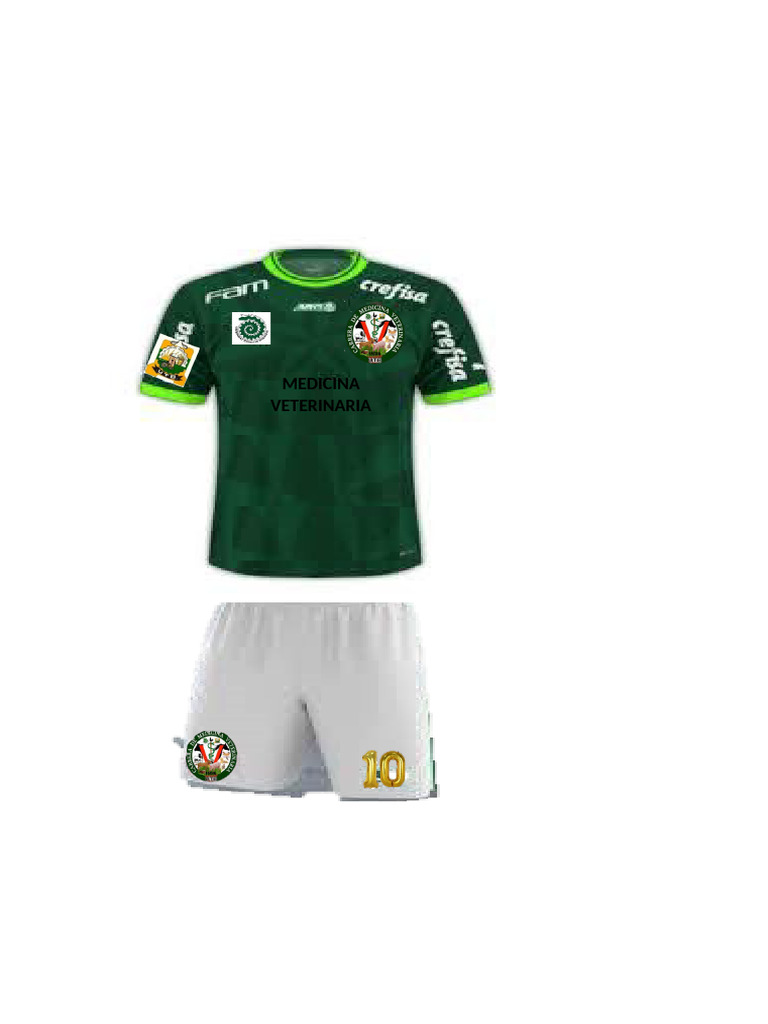 Camiseta | PDF