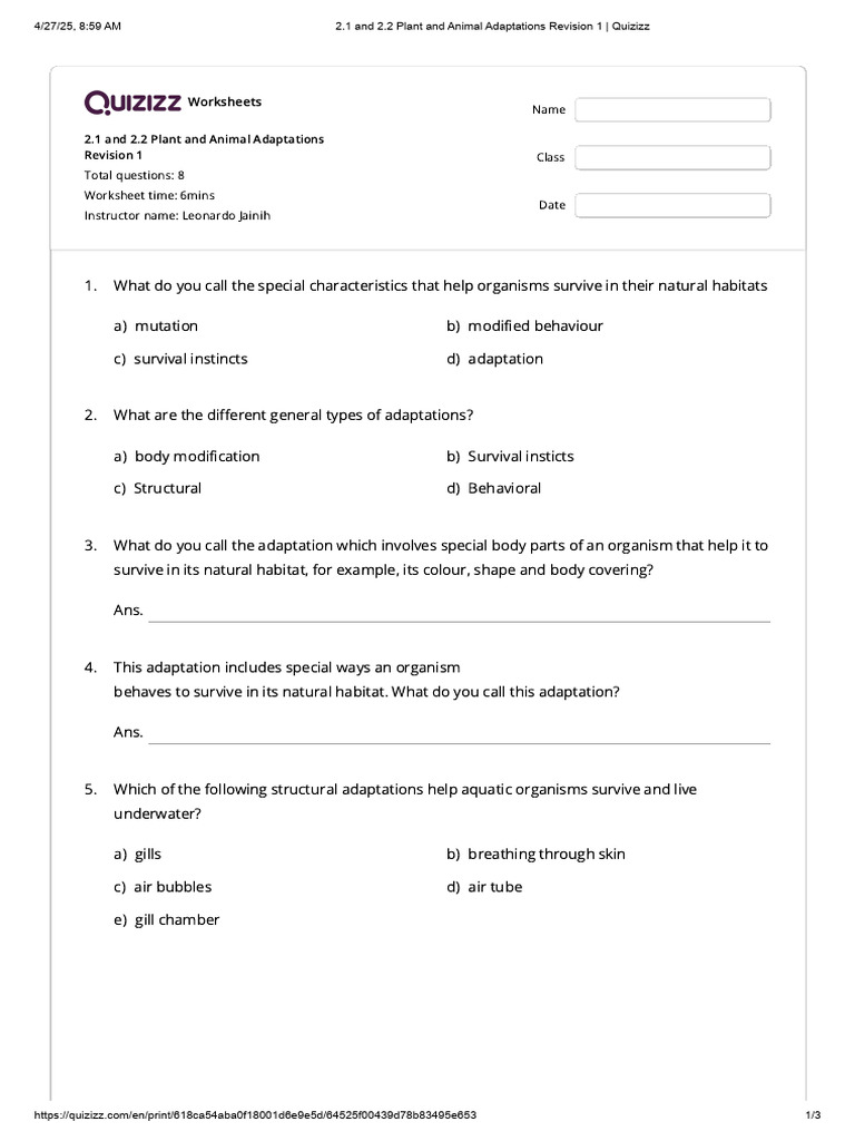 Dolphin Adaptations Worksheet | PDF | Whales | Dolphin