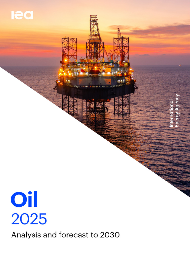 Oil Market Analysis and Forecast 2030 | PDF | International Energy ...