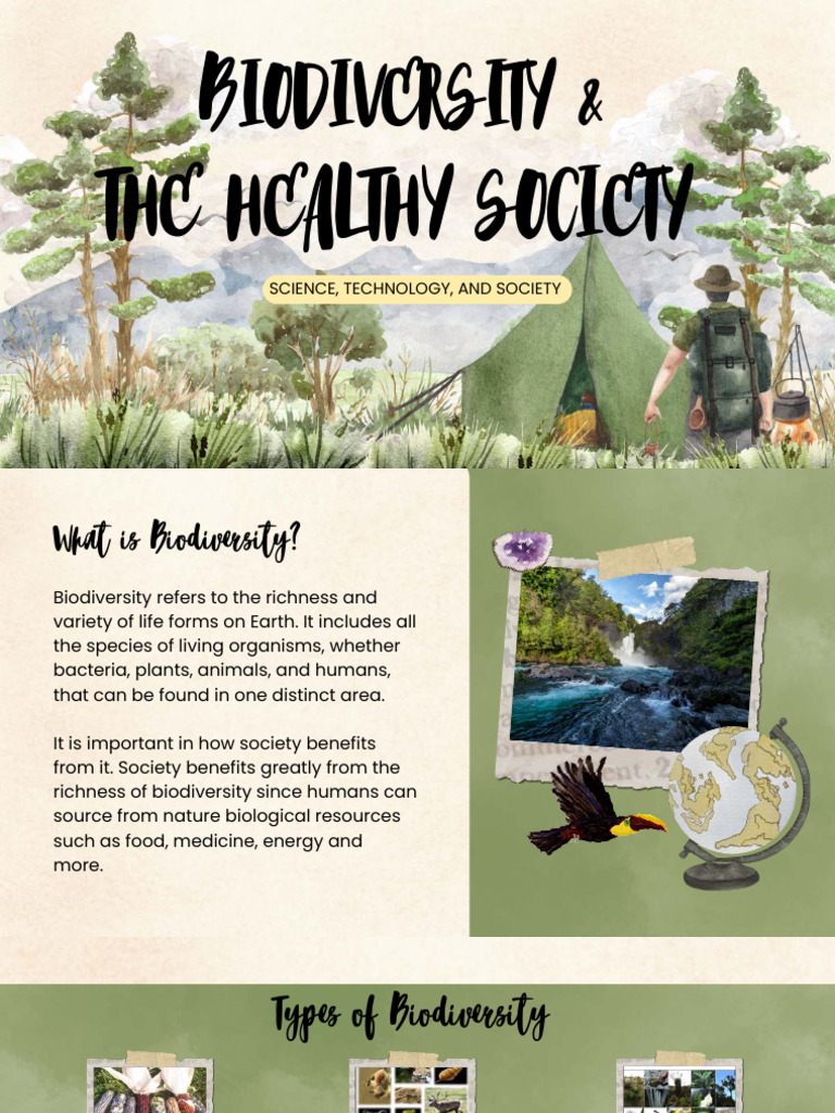 Biodiversity and The Healthy Society STS Report | PDF | Ecosystem | Biodiversity