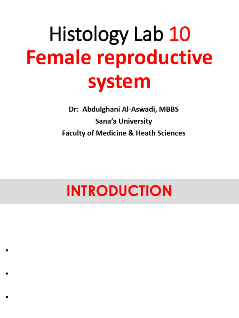 Female Reproductive System High Lectures | PDF | Ovary | Uterus