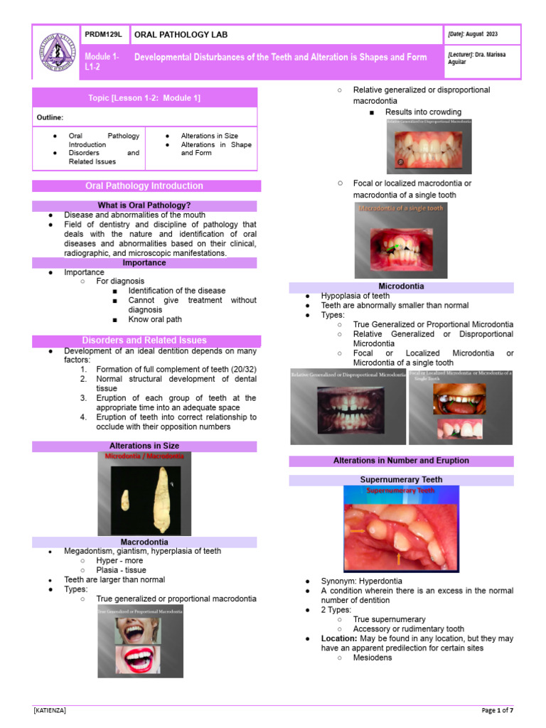 Oralpath Lab Midterms | PDF | Human Tooth | Tooth Enamel