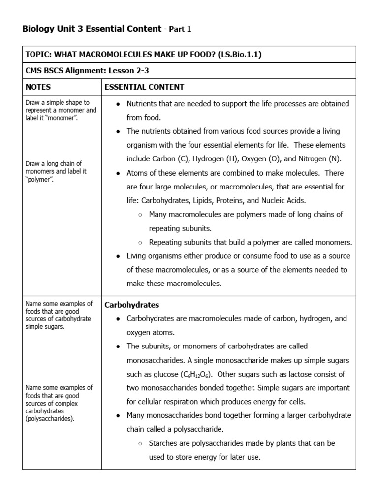 Understanding Food Macromolecules and Metabolism | PDF | Carbohydrates ...
