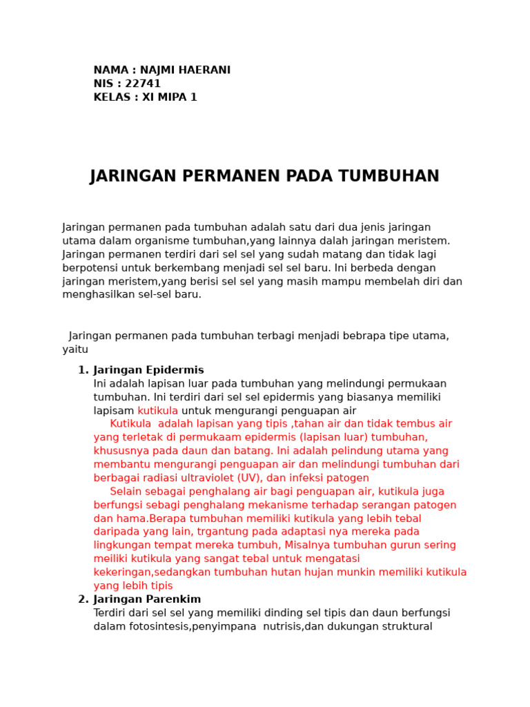 Jaringan Permanen Tumbuhan dan Strukturnya | PDF