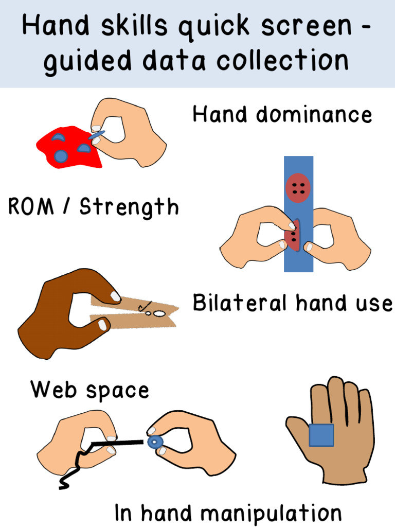 Occupational Therapy Hand Skills Quick Screen | PDF | Hand | Thumb